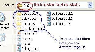 View topic - How to Make Growable Adoptables With Photobucket (Tutorial ...
