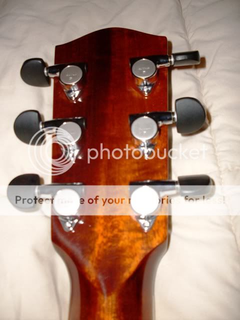 FS: Eastman AC308 Grand Concert Guitar - Acoustic Guitars - Harmony Central