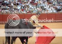การสู้วัวกระทิงของสเปน (LA CORRIDA DE TOROS) ป่าเถื่อน หรือ งดงามน่าดูชม?