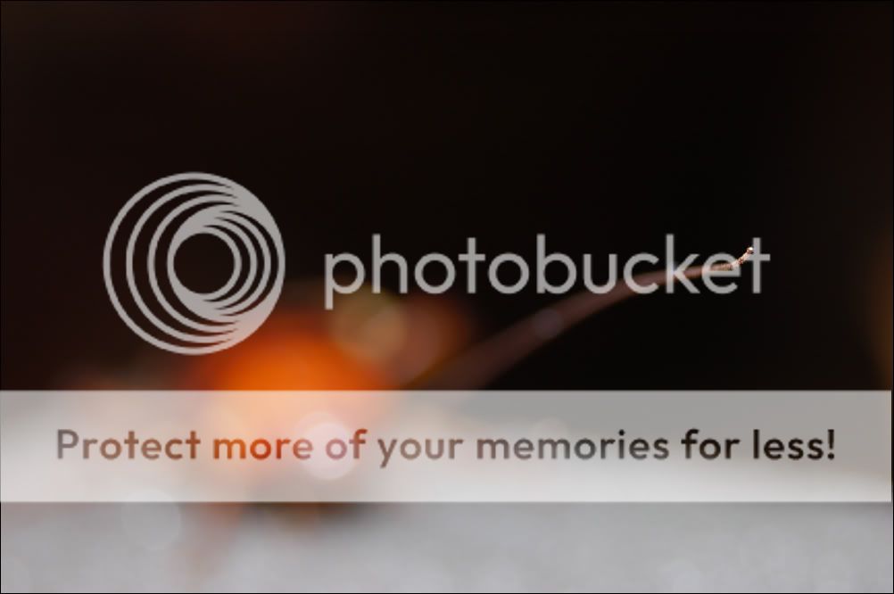 Close, Closer, Closest [3]: Nikon DX SLR (D40-D90, D3000-D7500) Talk ...