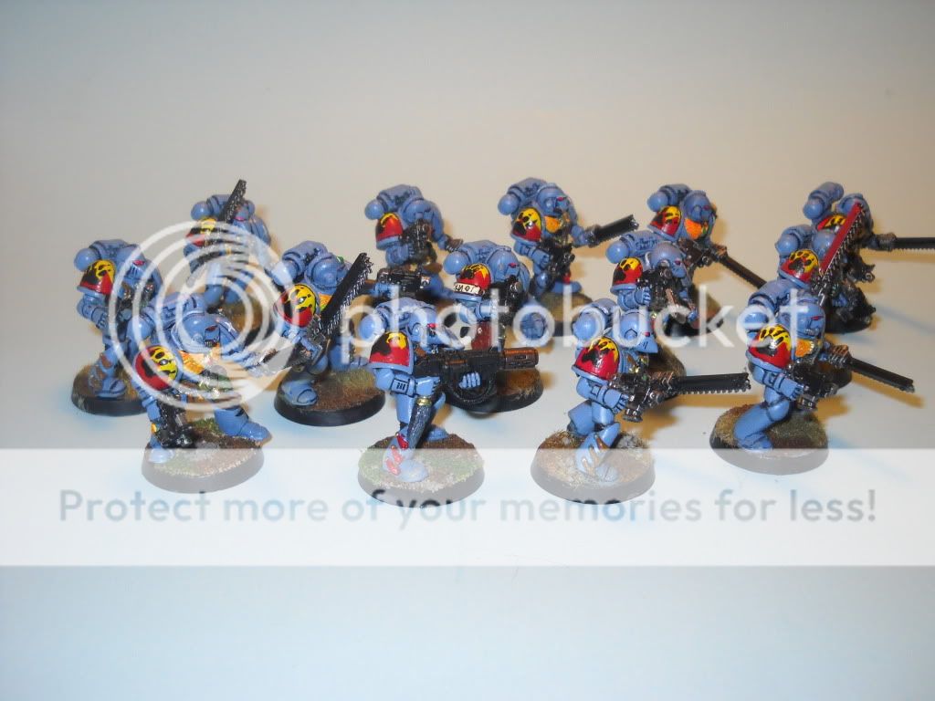 Pack markings - + SPACE WOLVES + - The Bolter and Chainsword