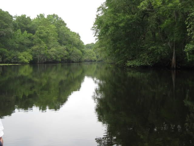 Combahee River Fishing | Dedicated To The Smallest Of Skiffs