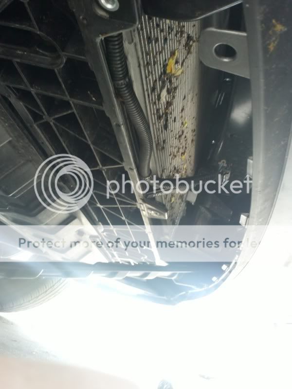 Horn Replacement -- DIY | Veloster Forum