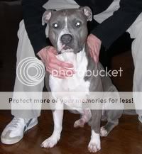 Atomic Dogg Magazine | Go Pitbull Forums