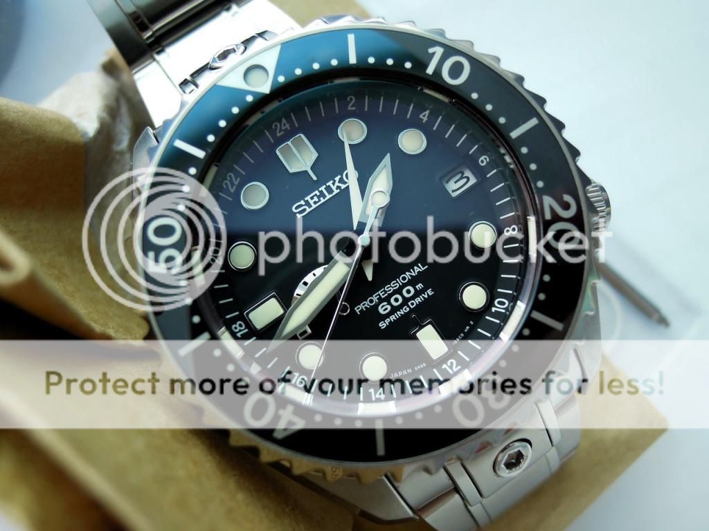 Seiko Spring Drive Dilemma ? MM600 or Landmaster | WatchUSeek Watch Forums