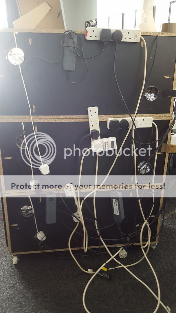 NW England - Rankins Dragon pair M/F 3x Viv Stack | Reptile Forums