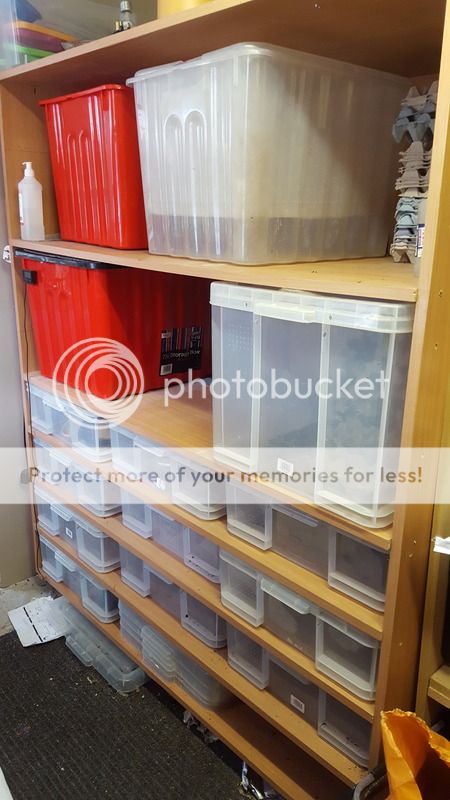 NW England - 10x 33lt RUB Snake Rack. | Reptile Forums