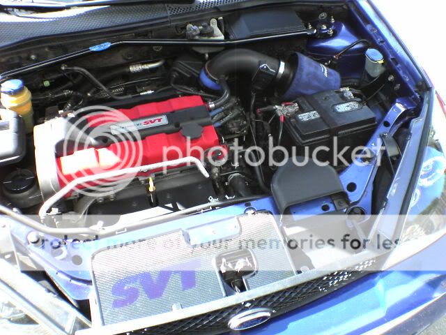 Engine bay ideas? | Focus Fanatics Forum