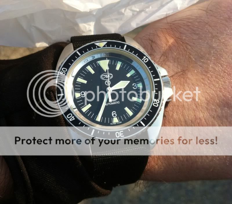 are there watches without spring bars? just solid "loops" fixed bars to ...