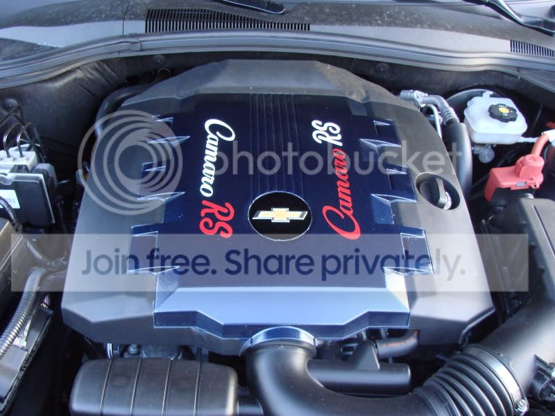 my IBM painted LT engine cover - Camaro5 Chevy Camaro Forum / Camaro ...